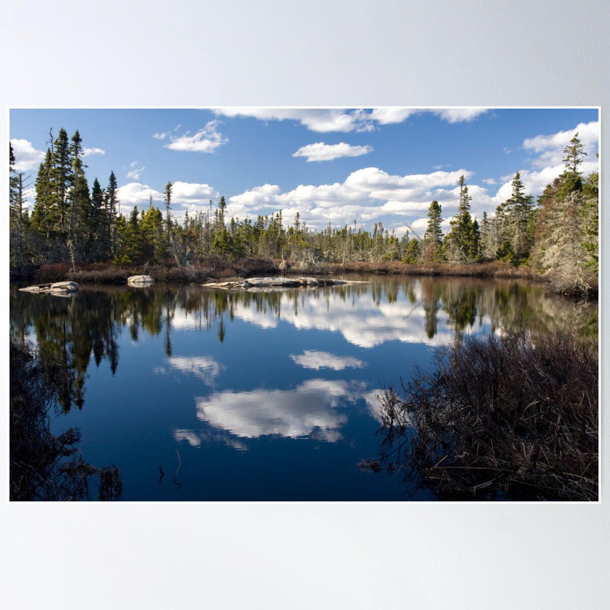 Coastal Bog Poster Wall Art, Modern Wall Decor For Living Room Bedroom ...