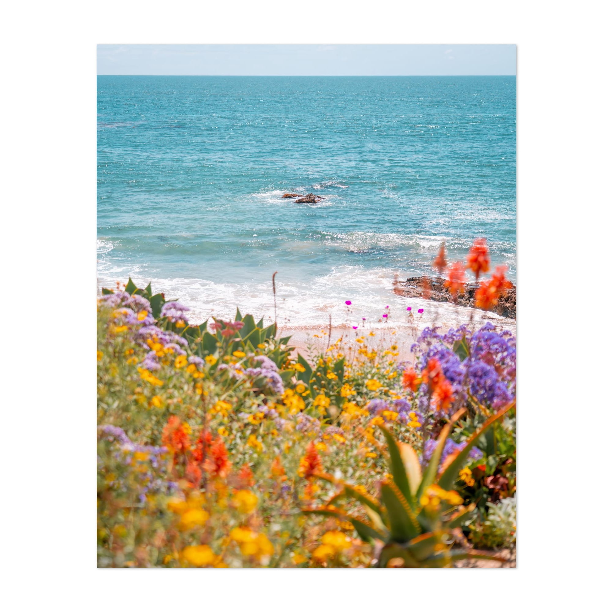 Coastal Colors - Laguna Beach California Photography Seascape Floral ...