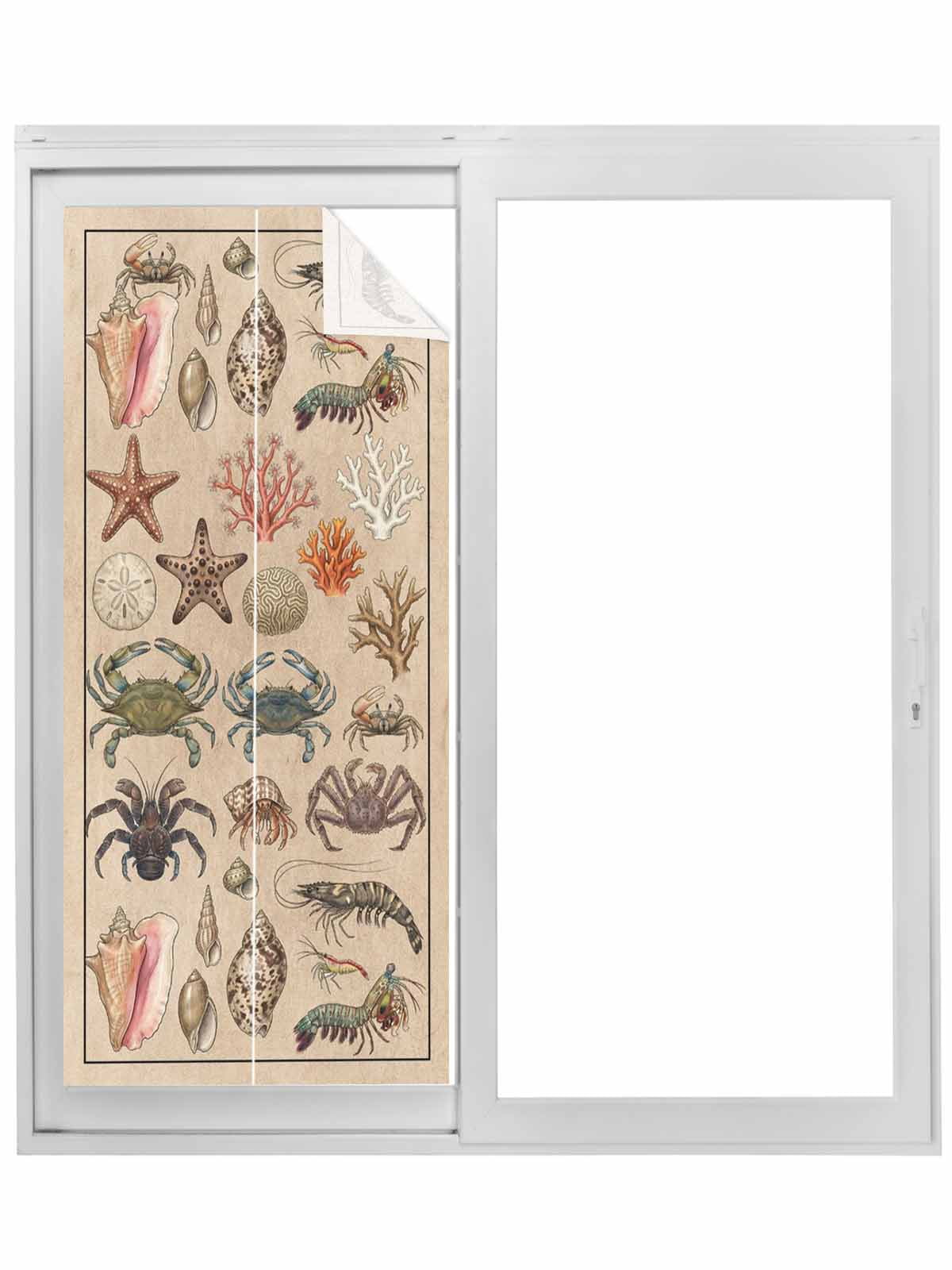 Coastal Creature Window Privacy Film, Retro Marine Starfish Conch Coral ...