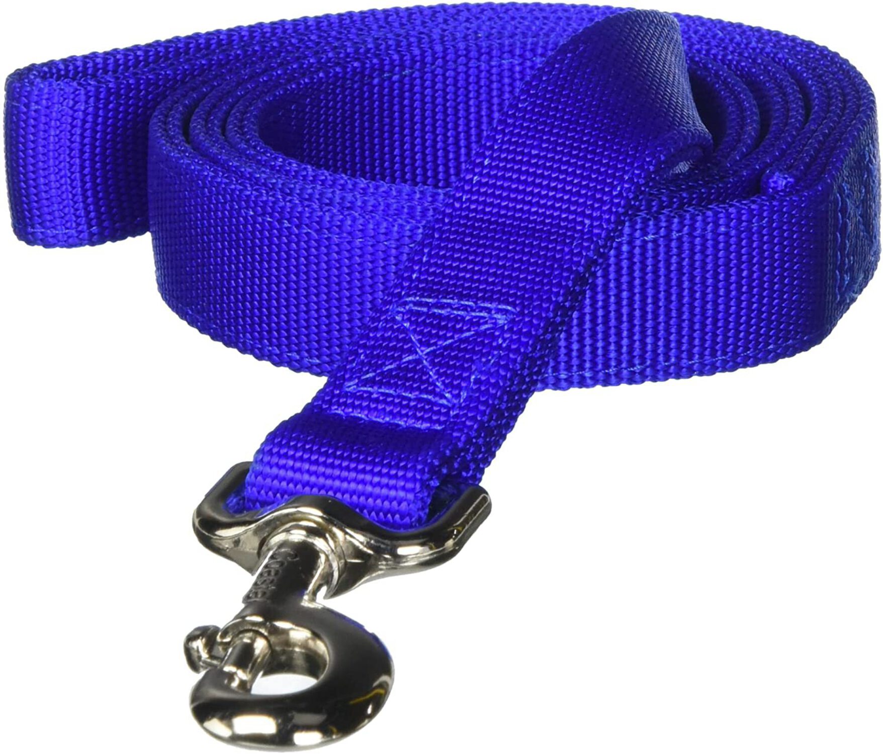 Coastal Double-Ply Nylon Dog Leash Blue 1ea/1 In X 4 ft - Walmart.com