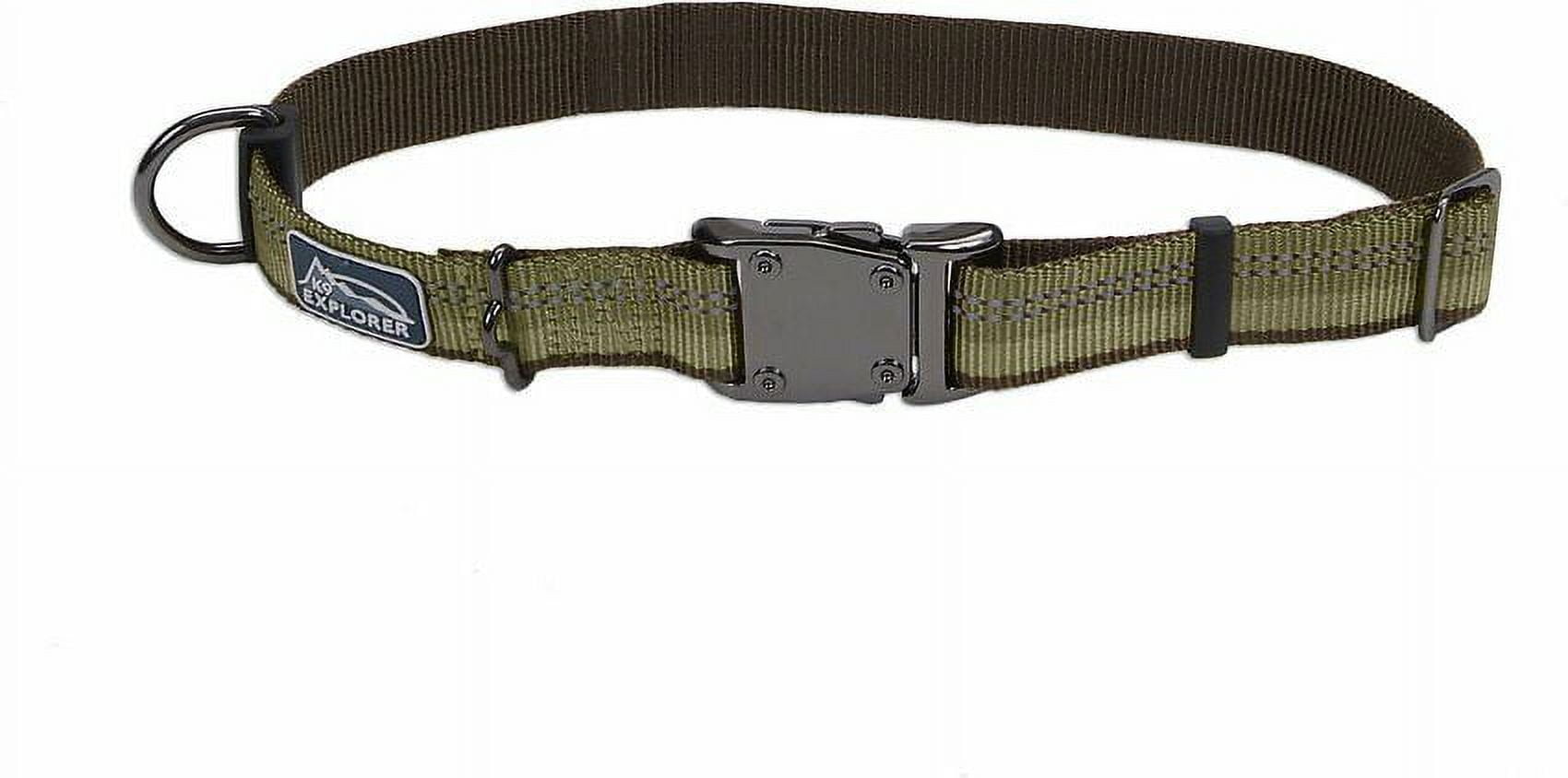 Coastal K9 Explorer Reflective Safety Dog Collar - Walmart.com