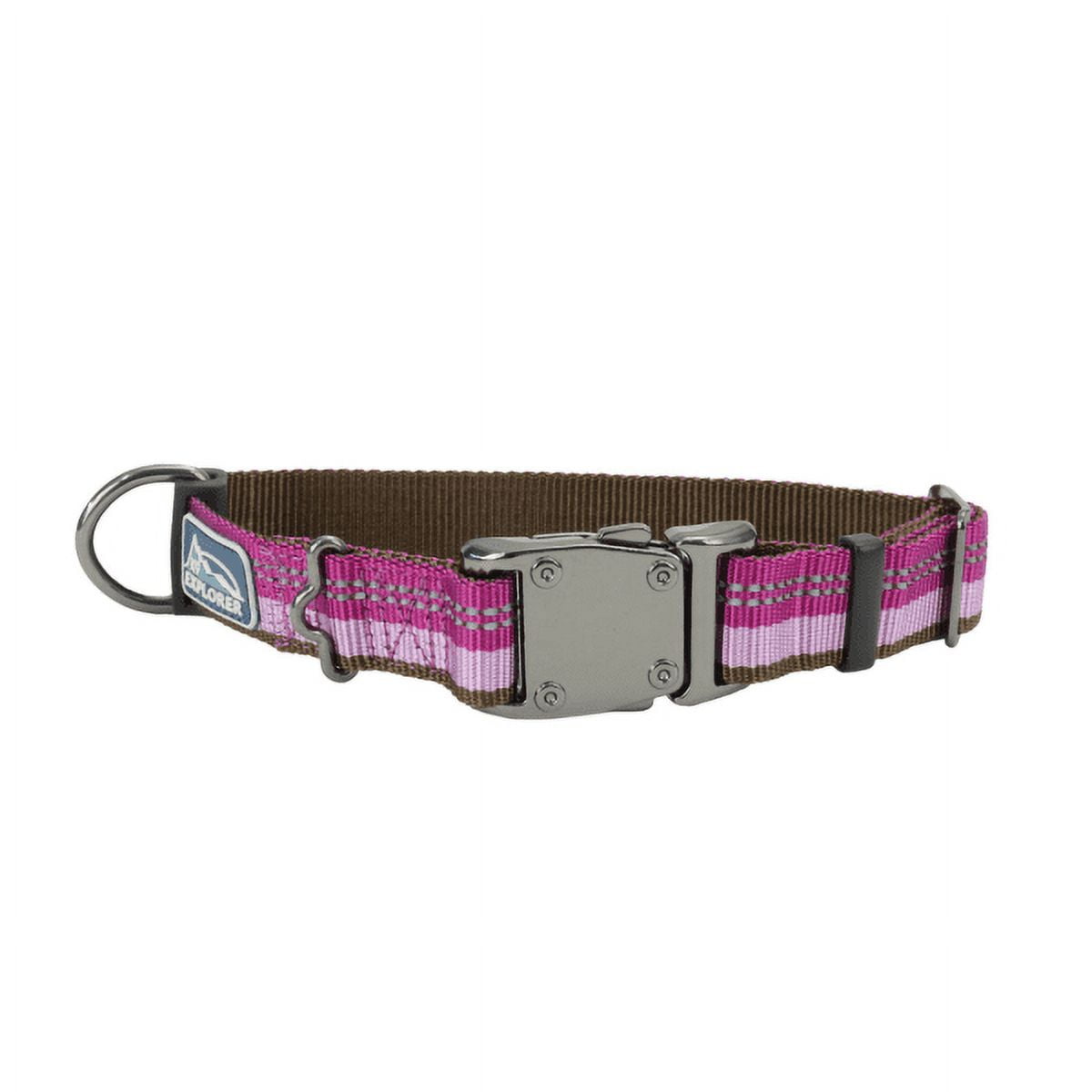 Coastal K9 Explorer Reflective Safety Dog Collar - Walmart.com