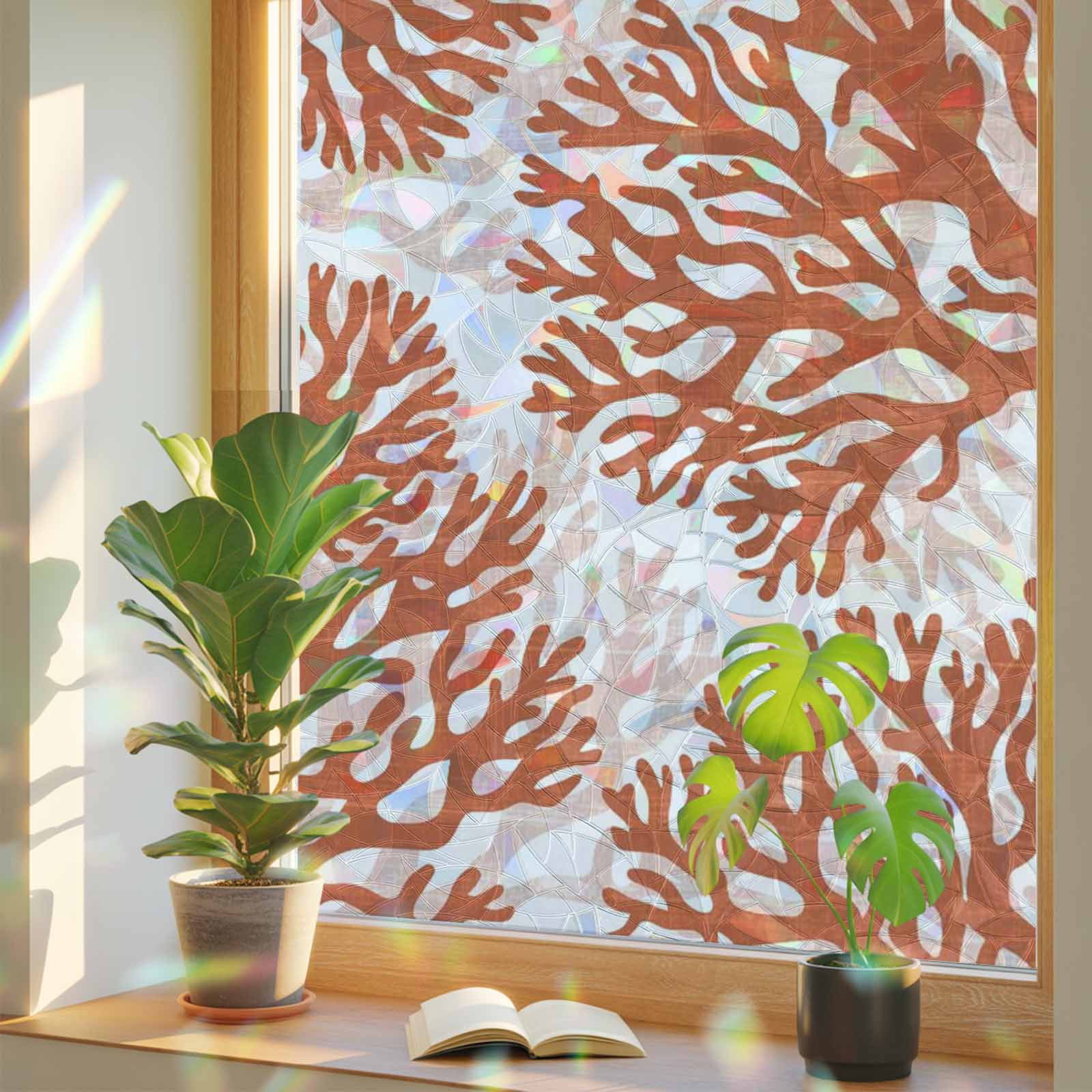 Coastal Ocean Burnt Orange Coral Window Privacy Film, Rainbow Film ...