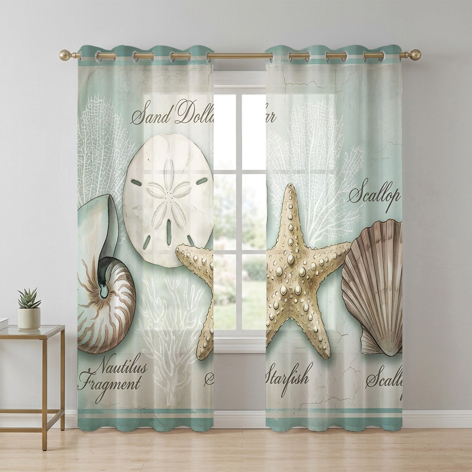 Coastal Ocean Sheer Curtains 90 Inch Long 2 Panels, Sand Dollar Shells ...