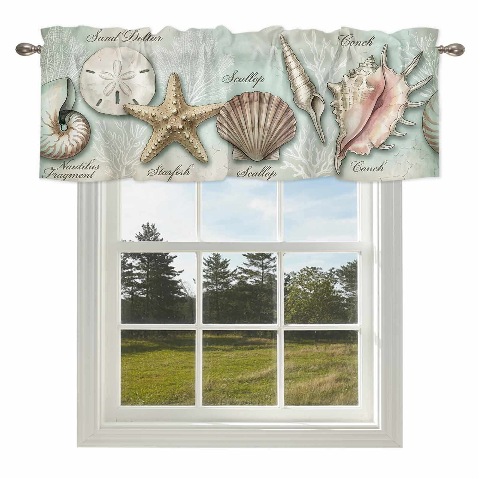 Coastal Ocean Valances for Windows, 42x18in, Sand Dollar Shells ...