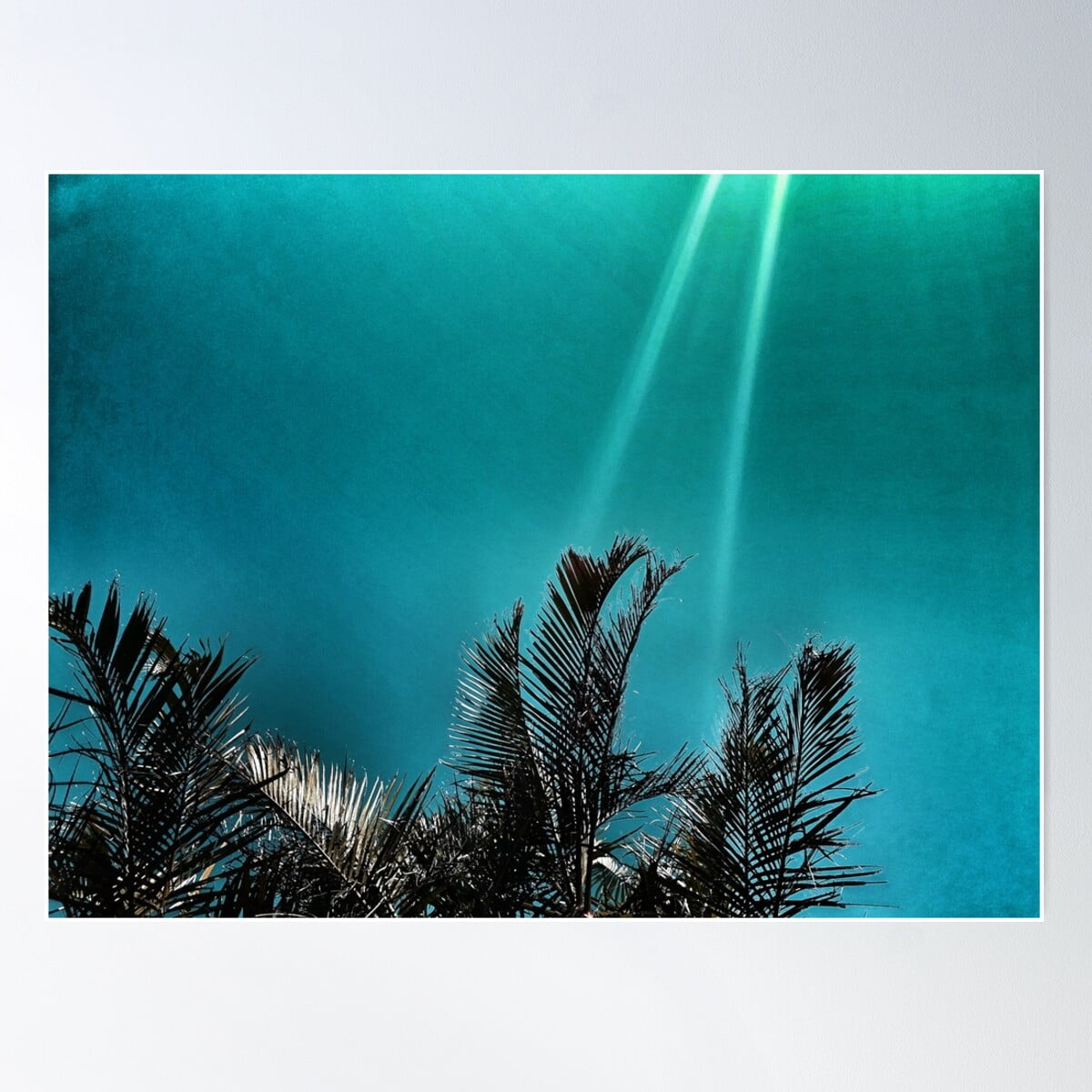 Coastal Palm Fronds - Tropical Turquoise - Summer Sun Streaks ...