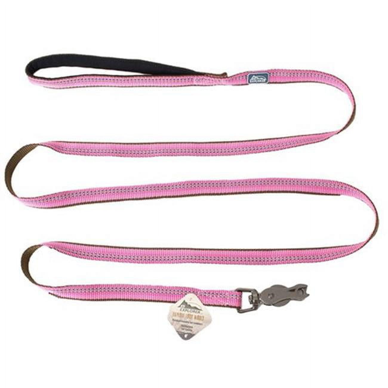 Coastal Pet K9 Explorer Reflective Leash with Scissor Snap Rosebud ...