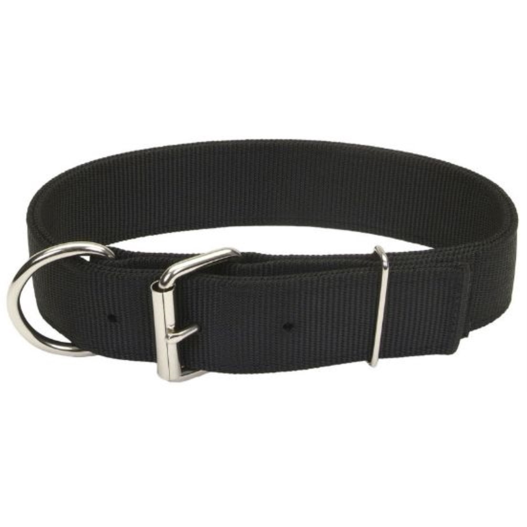 Coastal Pet Macho Dog Double-Ply Nylon Collar with Roller Buckle 1.75 ...