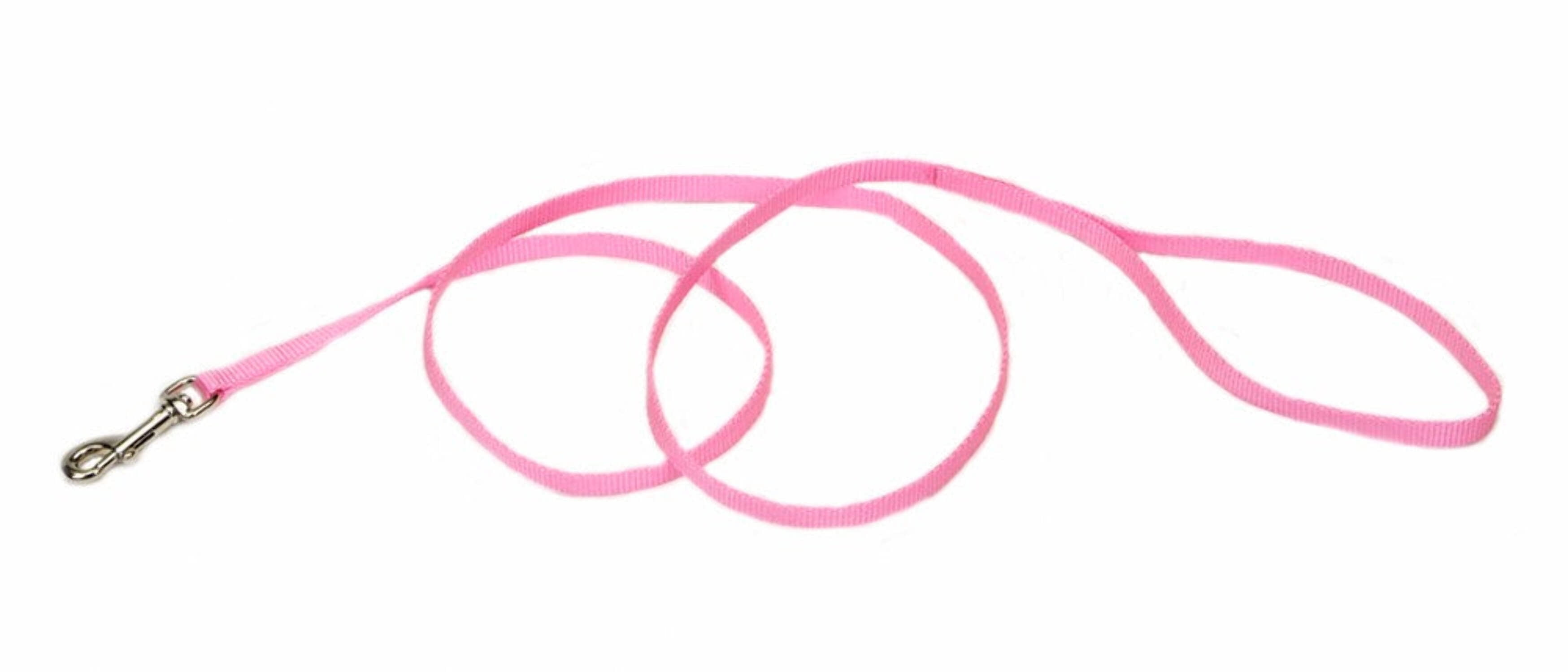 Coastal Single-Ply Nylon Dog Leash Pink Bright 1ea/3/8 In X 6 ft ...