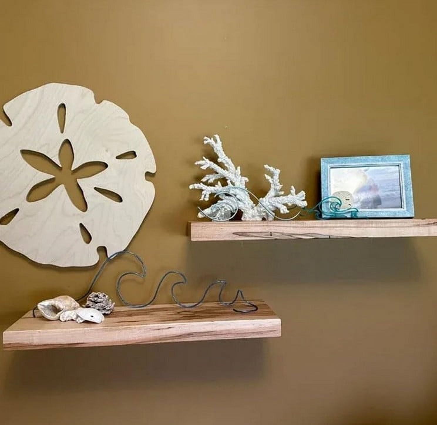 Coastal Sand Dollar Wall Art Decor | Handcrafted Marine Life Wood ...
