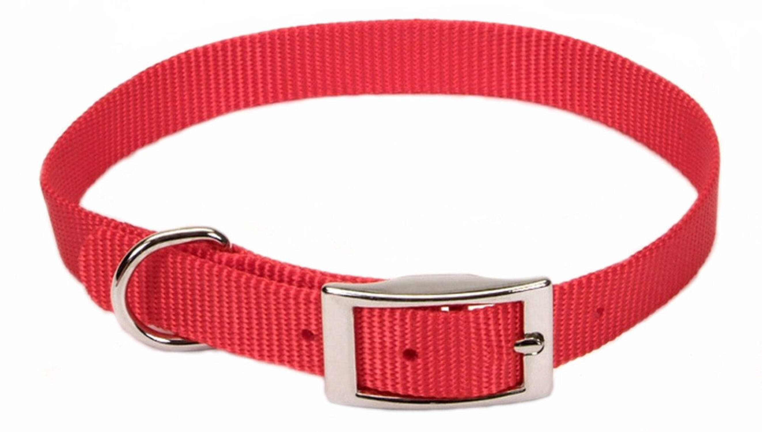 Coastal Single-Ply Nylon Dog Collar Red 1ea/5/8 In X 16 in - Walmart.com