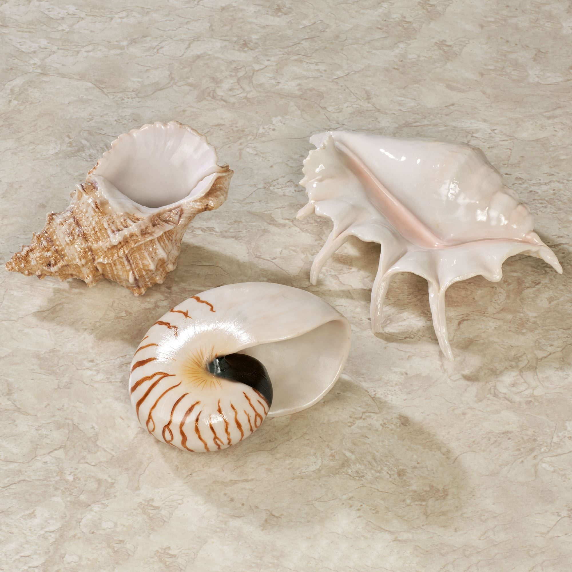 Coastal Soothing Shells Wall Art or Tabletop Accent Ivory 7.5”H-11”H ...