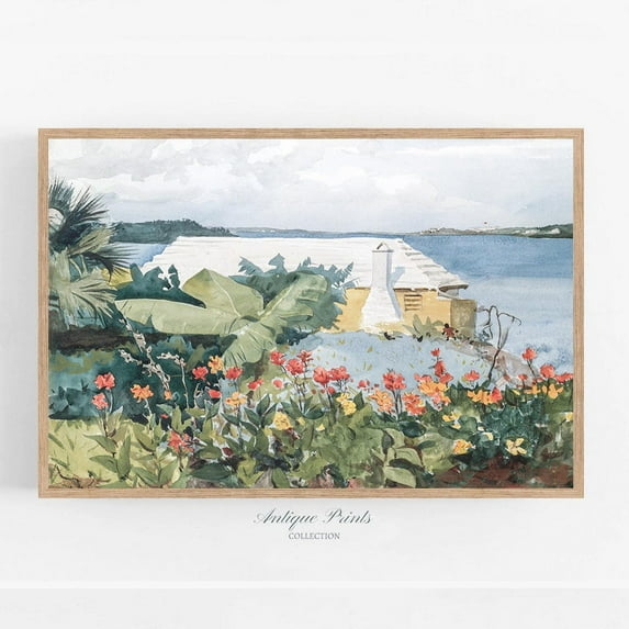 Coastal Vintage, Antique Bermuda Print, Vintage Tropical Flowers Wall ...