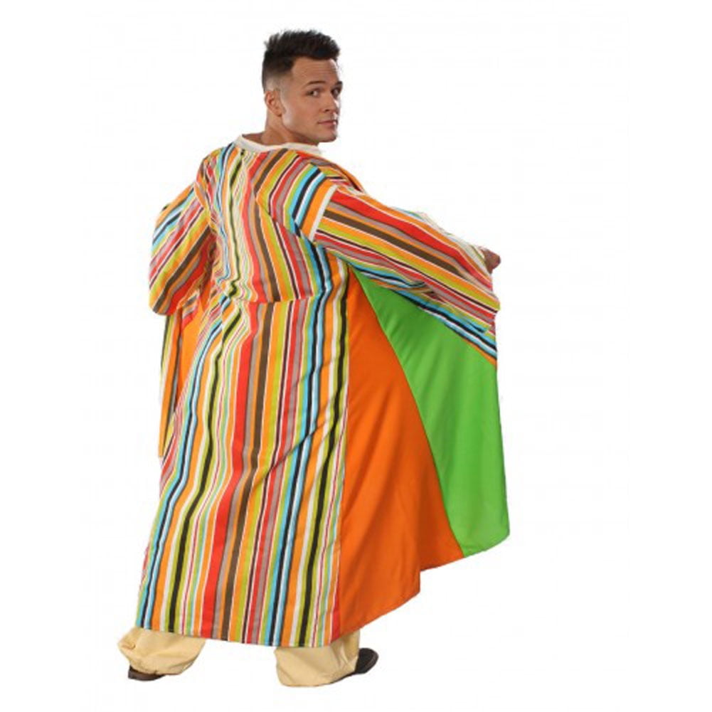 Coat Of Many Colors Costume - Walmart.com