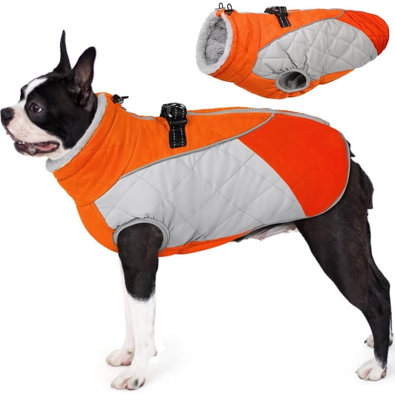 Coat, Winter Coat, Reflective Small Dogs Jacket with Harness Built in ...