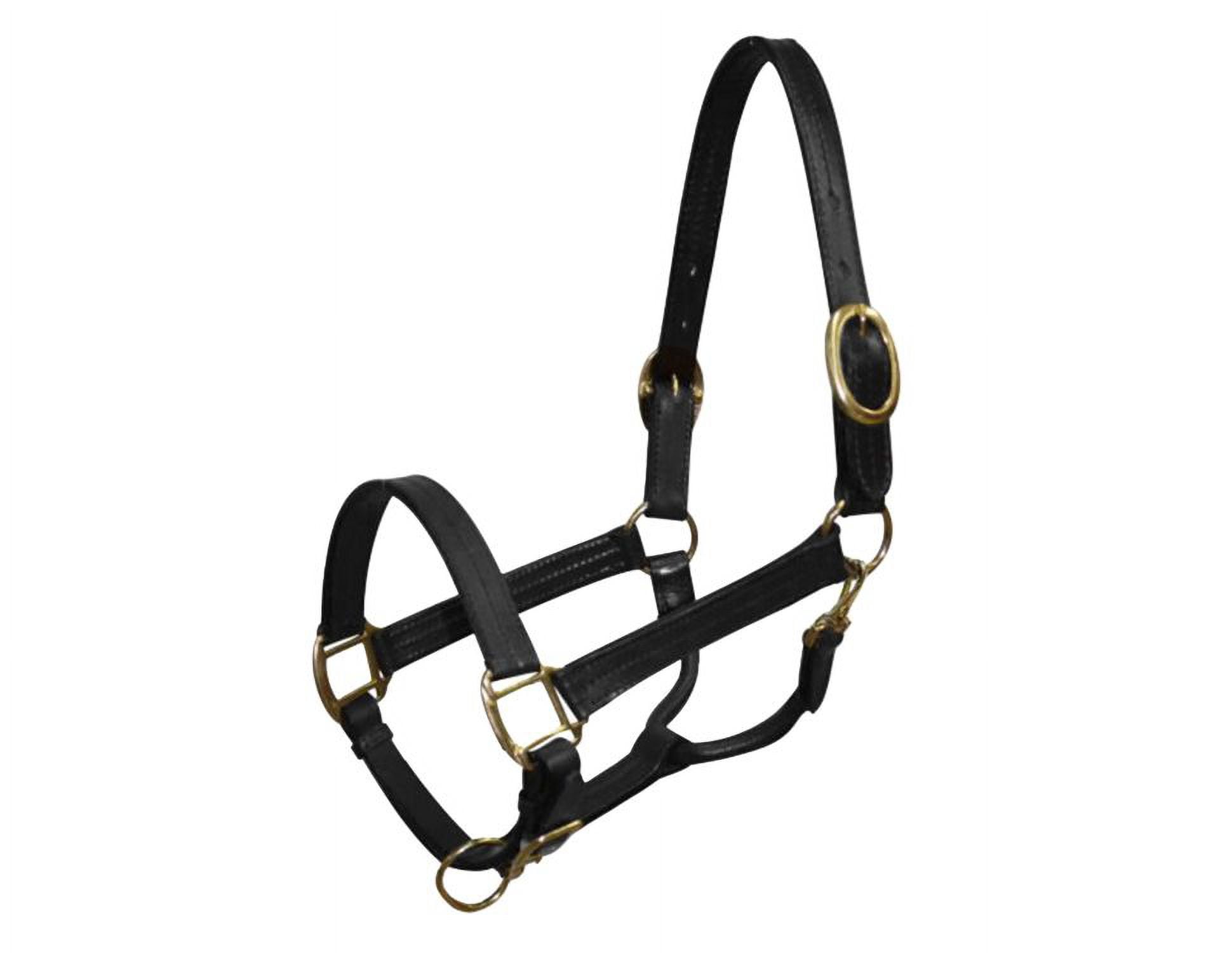 Cob Size Leather Halter w/ Brass Hardware (Black) - Walmart.com