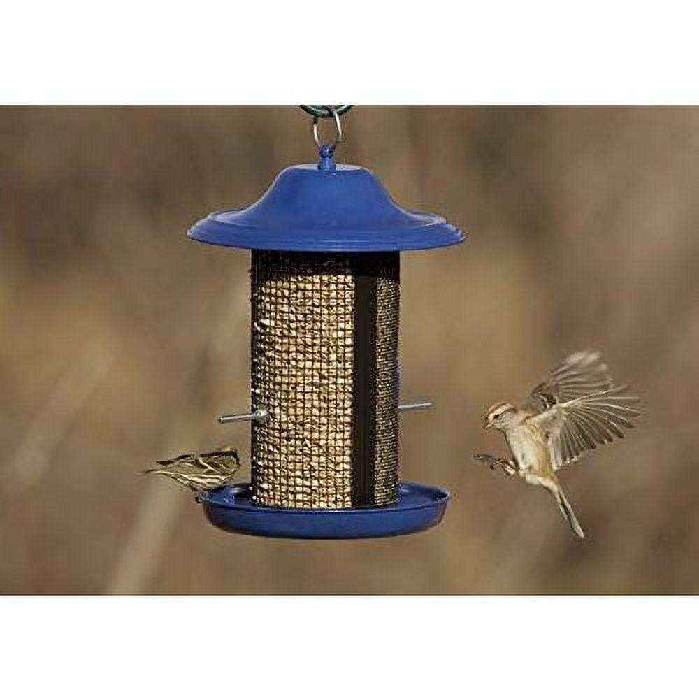 Cobalt Double Chamber Mesh Screen Feeder With Metal Roof, Blue, 2.4 Lb ...