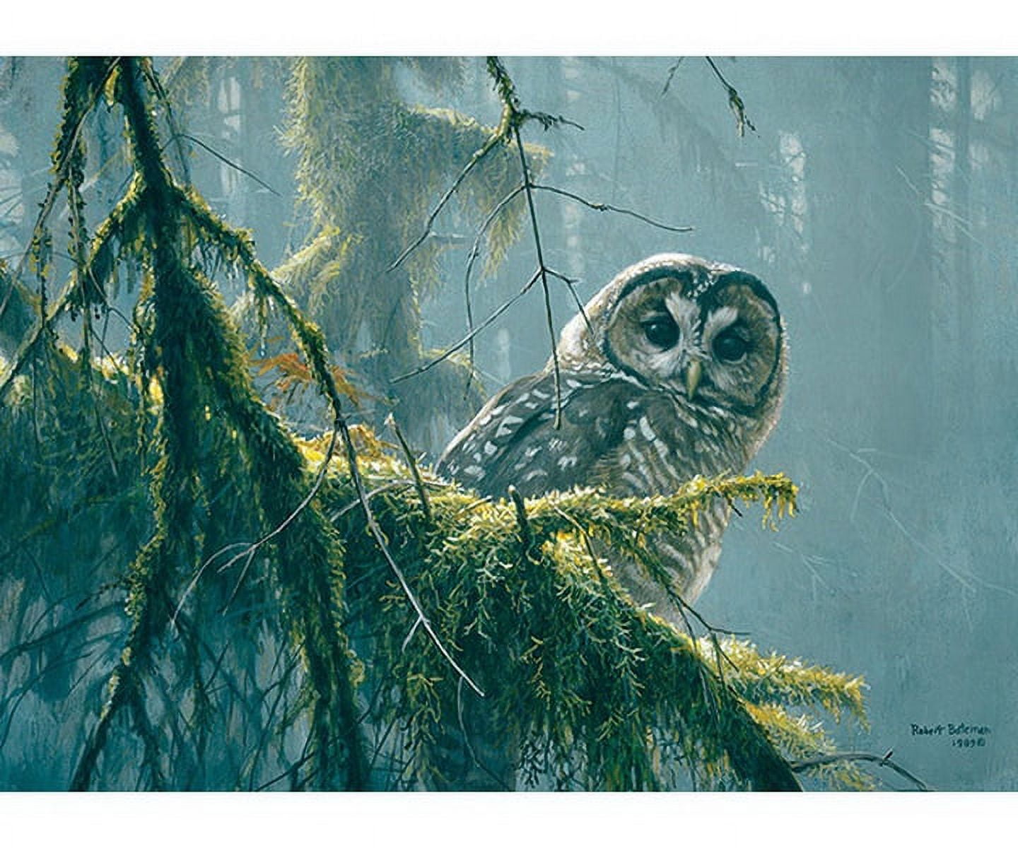 Cobble Hill 85002 Mossy Branches - Spotted Owl 500 Piece Puzzle ...