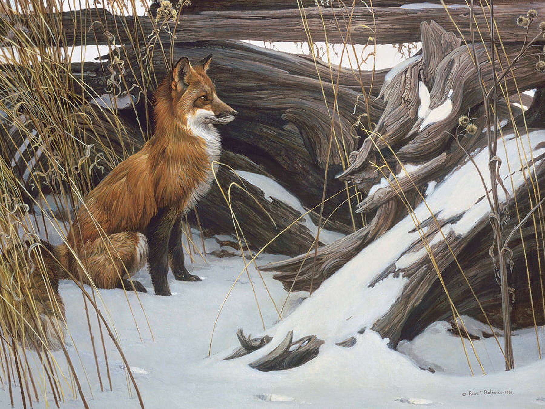 Cobble Hill Wily and Wary By Artist Robert Bateman 500 Piece Jigsaw ...