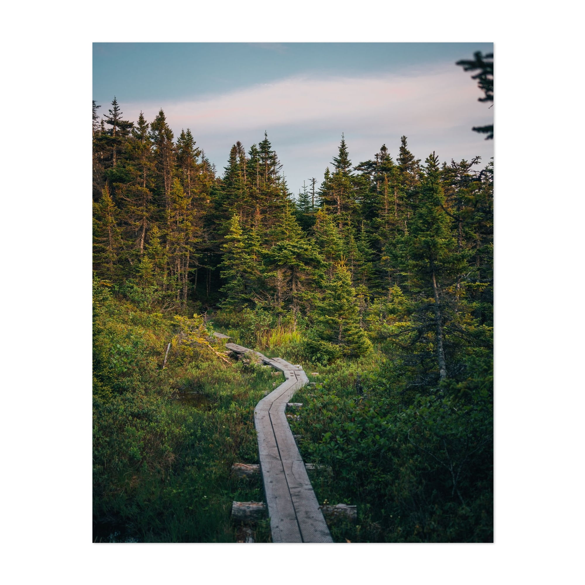 Cobbler Path, Torbay Point 02 - Outer Cove Newfoundland and Labrador ...