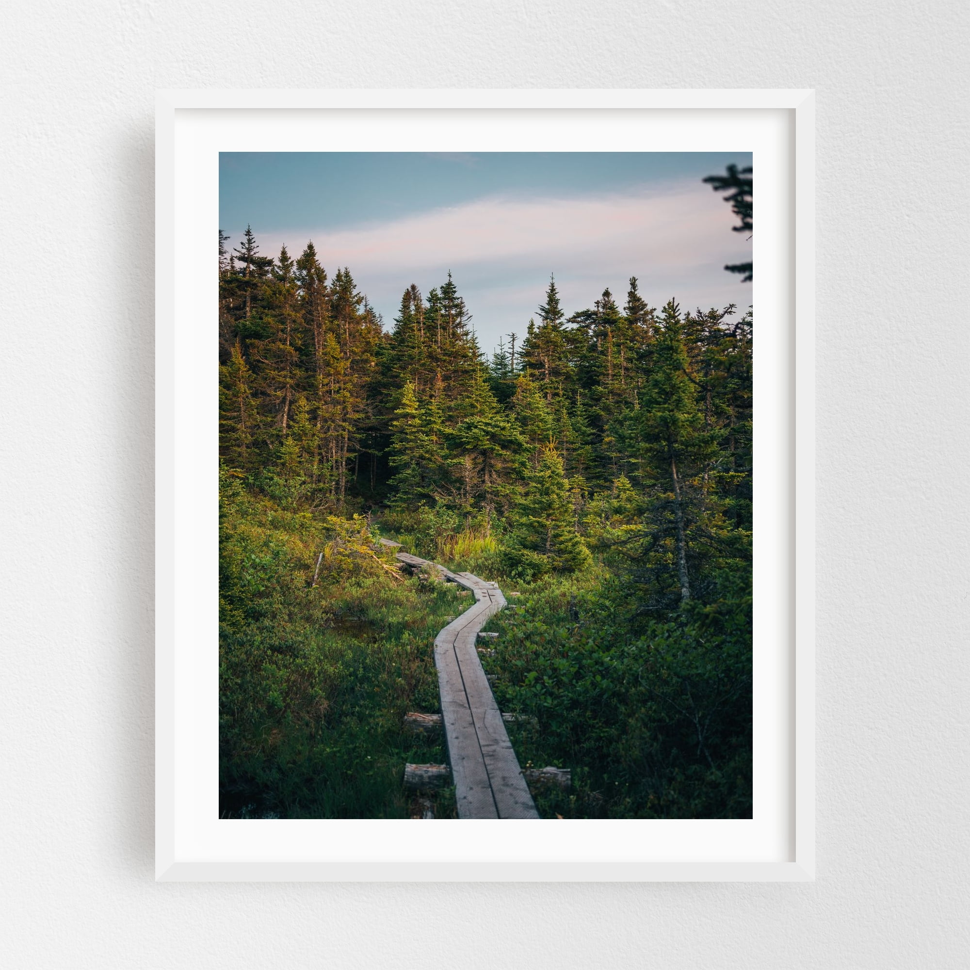 Cobbler Path, Torbay Point 02 - Outer Cove Newfoundland and Labrador ...