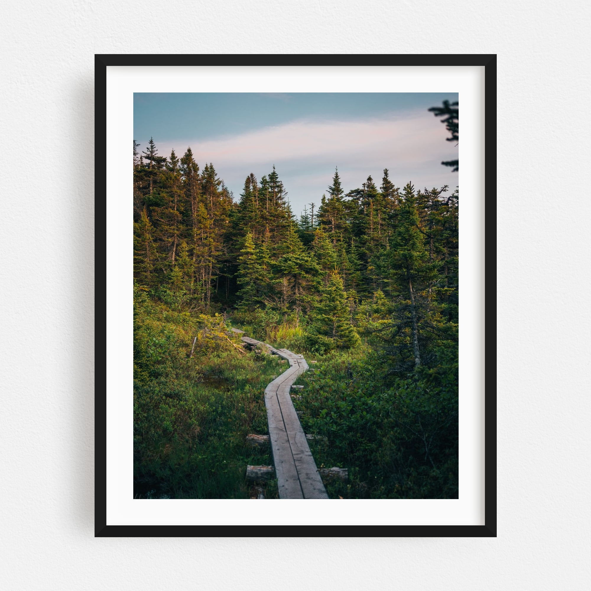 Cobbler Path, Torbay Point 02 - Outer Cove Newfoundland and Labrador ...