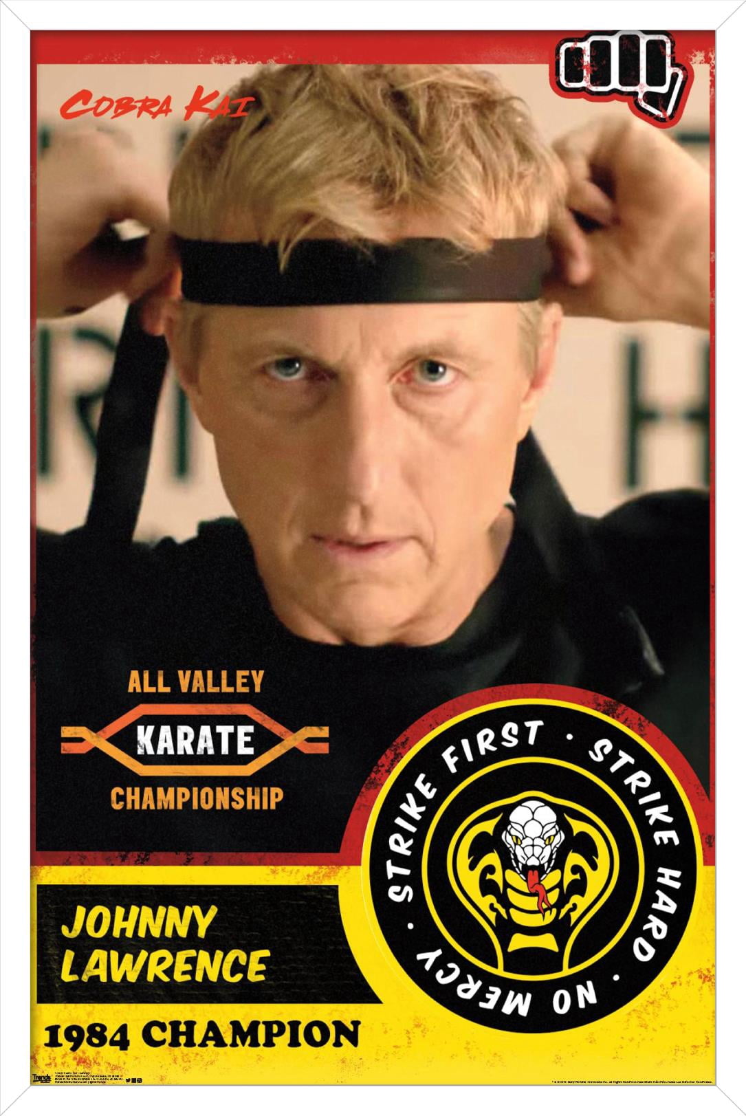 Cobra Kai - Johnny Wall Poster, 22.375" x 34", Framed - Walmart.com
