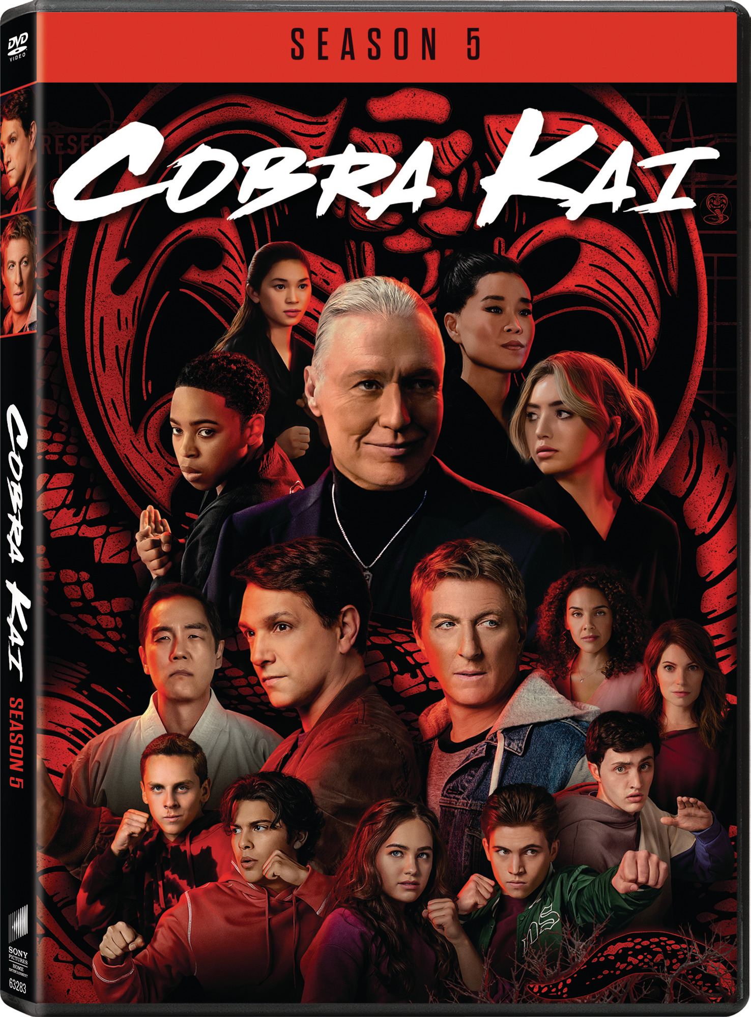 Cobra Kai Season 5 DVD Walmart Cobra Kai Season 5 DVD Walmart