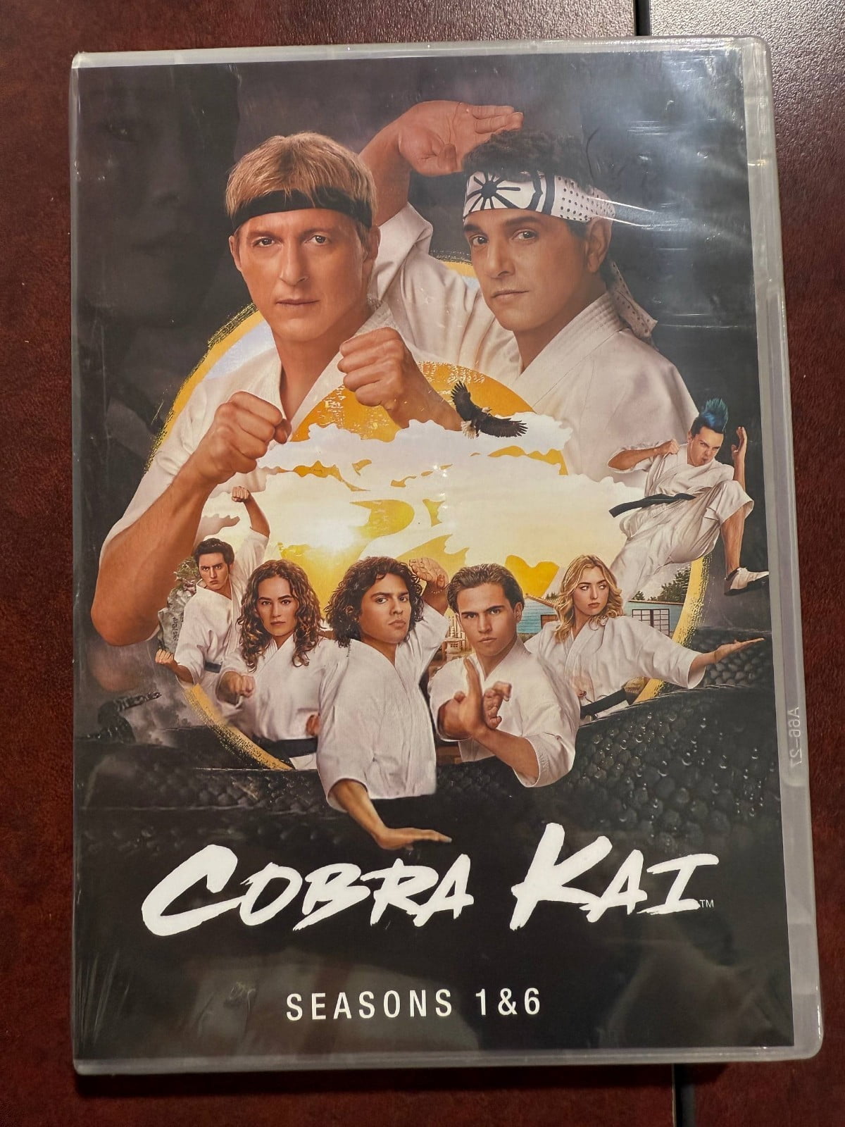 Cobra Kai: The Complete Series, Seasons 1-6 (DVD, 14-Disc, Box-Set ...
