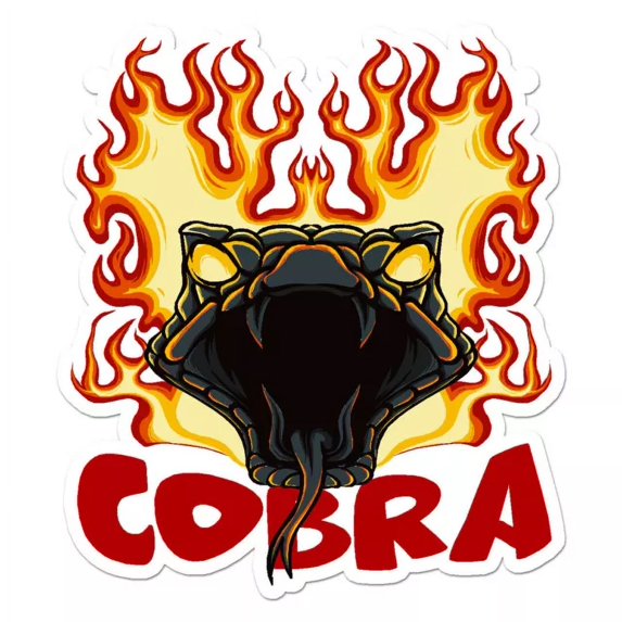 Cobra Snake Flames Sticker Phone Decal Water Bottle Stickers Car Decals, Laptop Sticker ...
