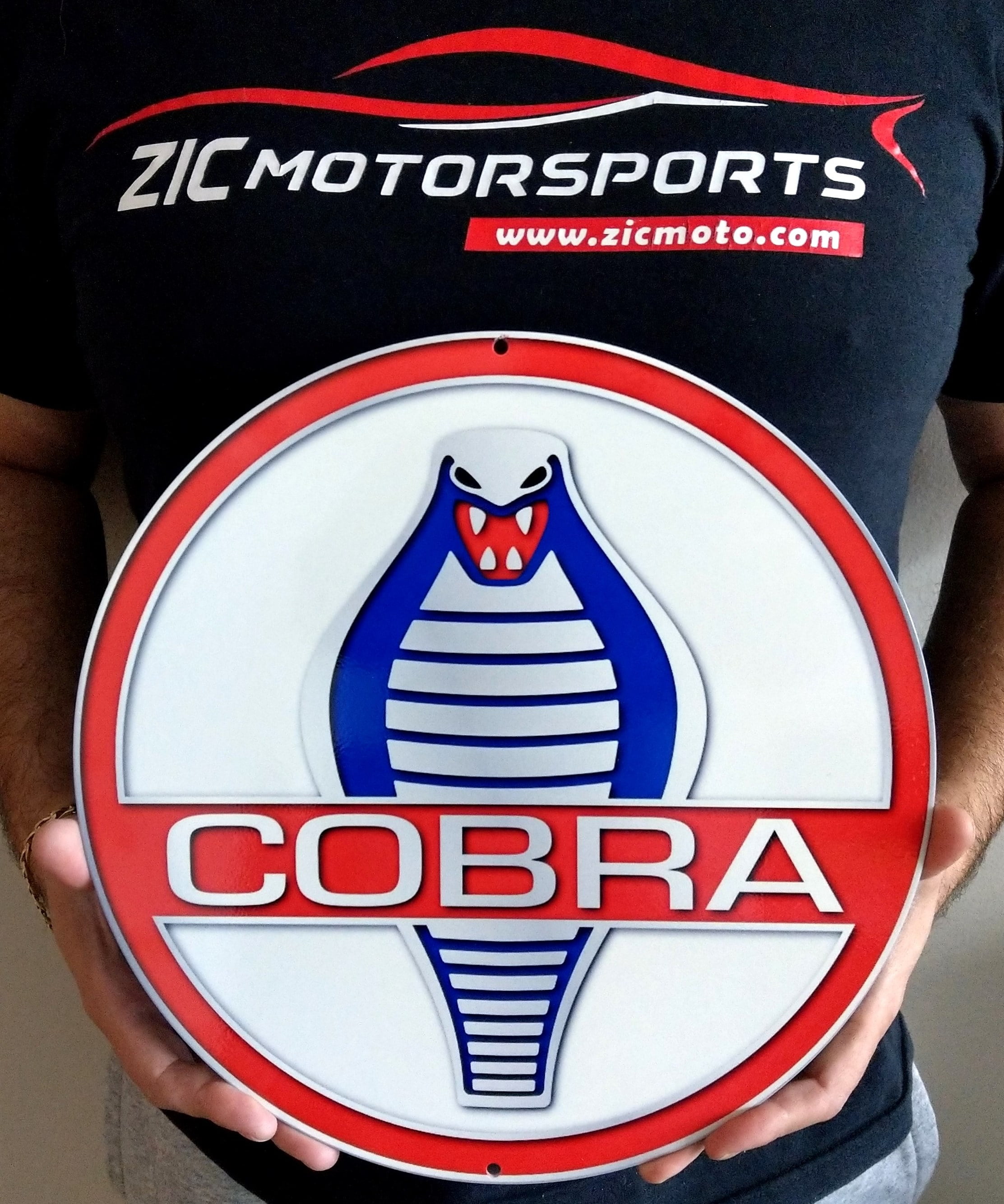 Cobra Snake Round White Background Flat Metal Sign - Walmart.com