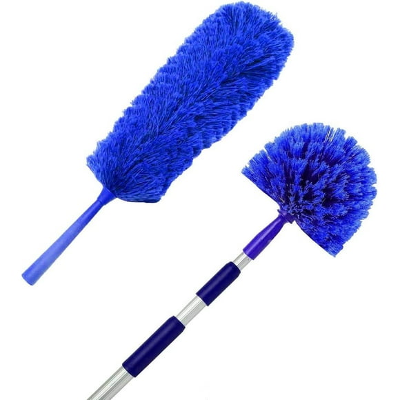 Webster Brush