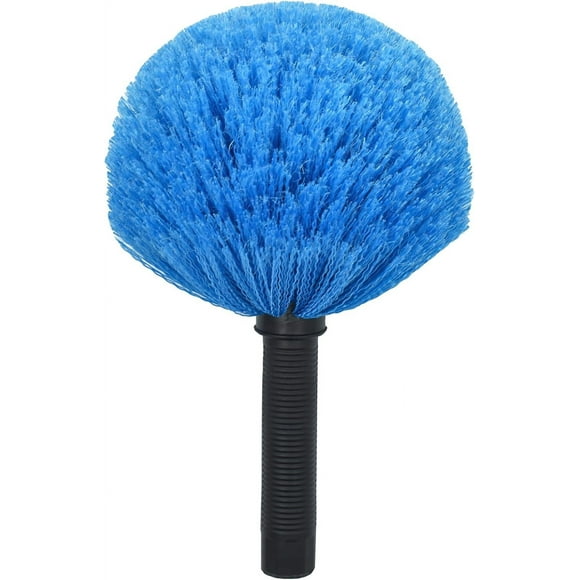 Webster Brush