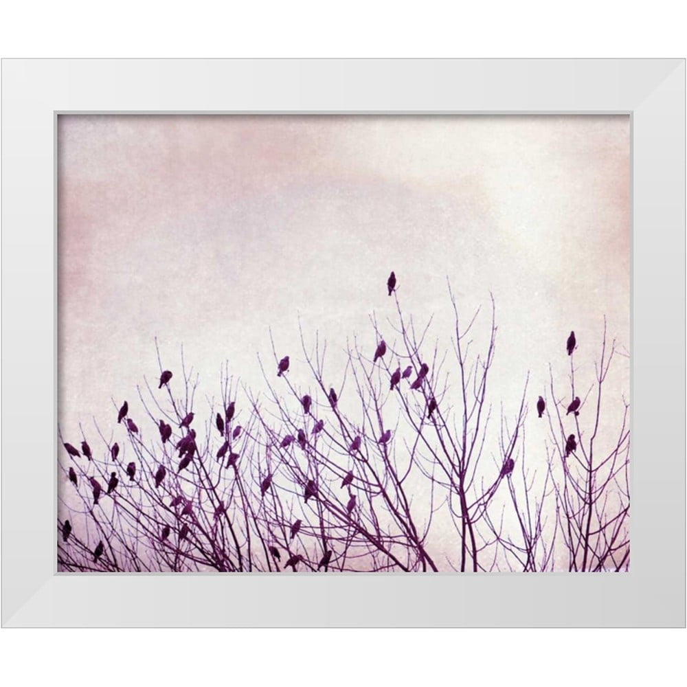 Cochrane, Carolyn 18x15 White Modern Wood Framed Museum Art Print ...