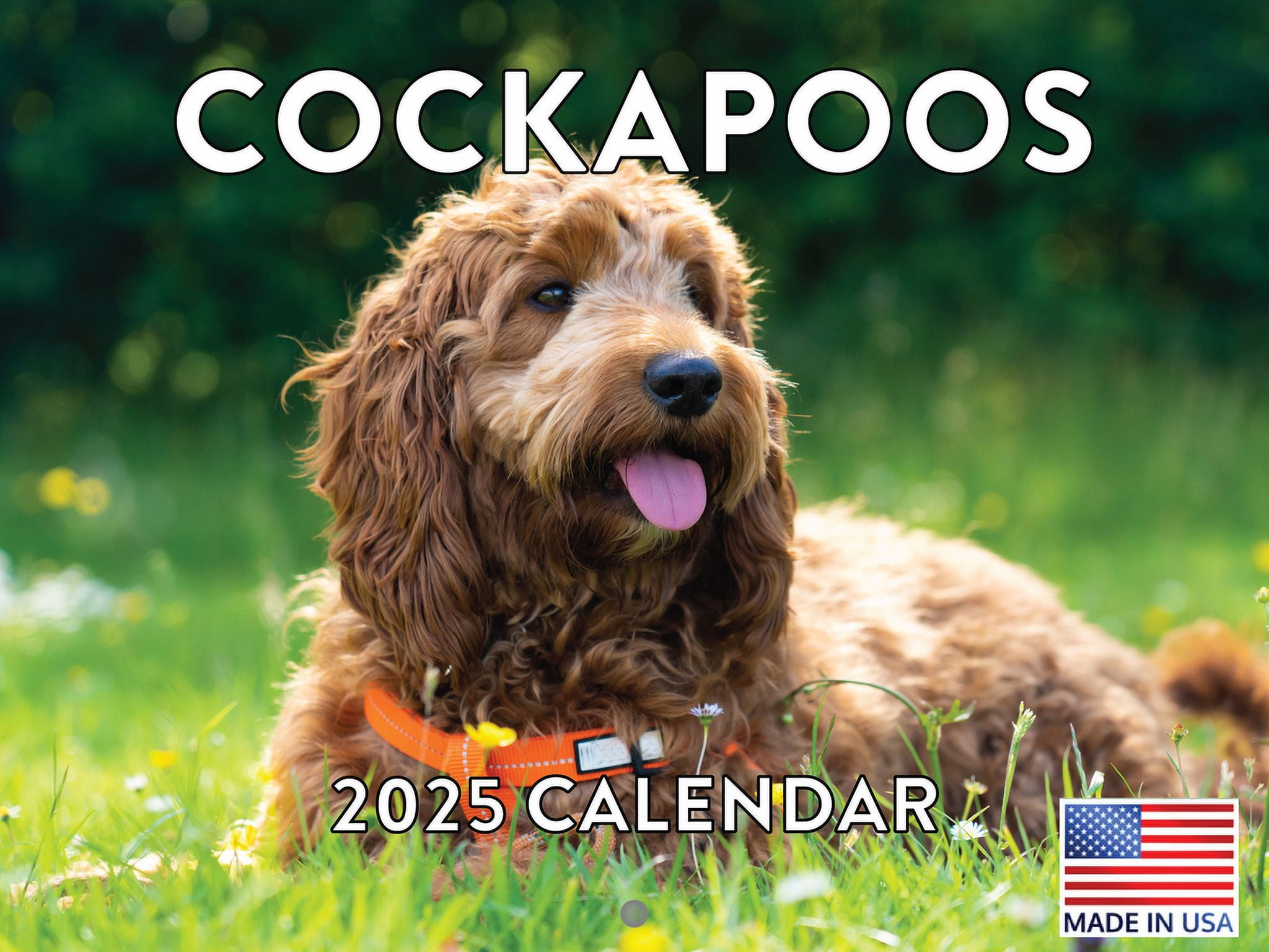 Cockapoo Dog Breed 2025 Calendar | American Made In The USA - Walmart.com