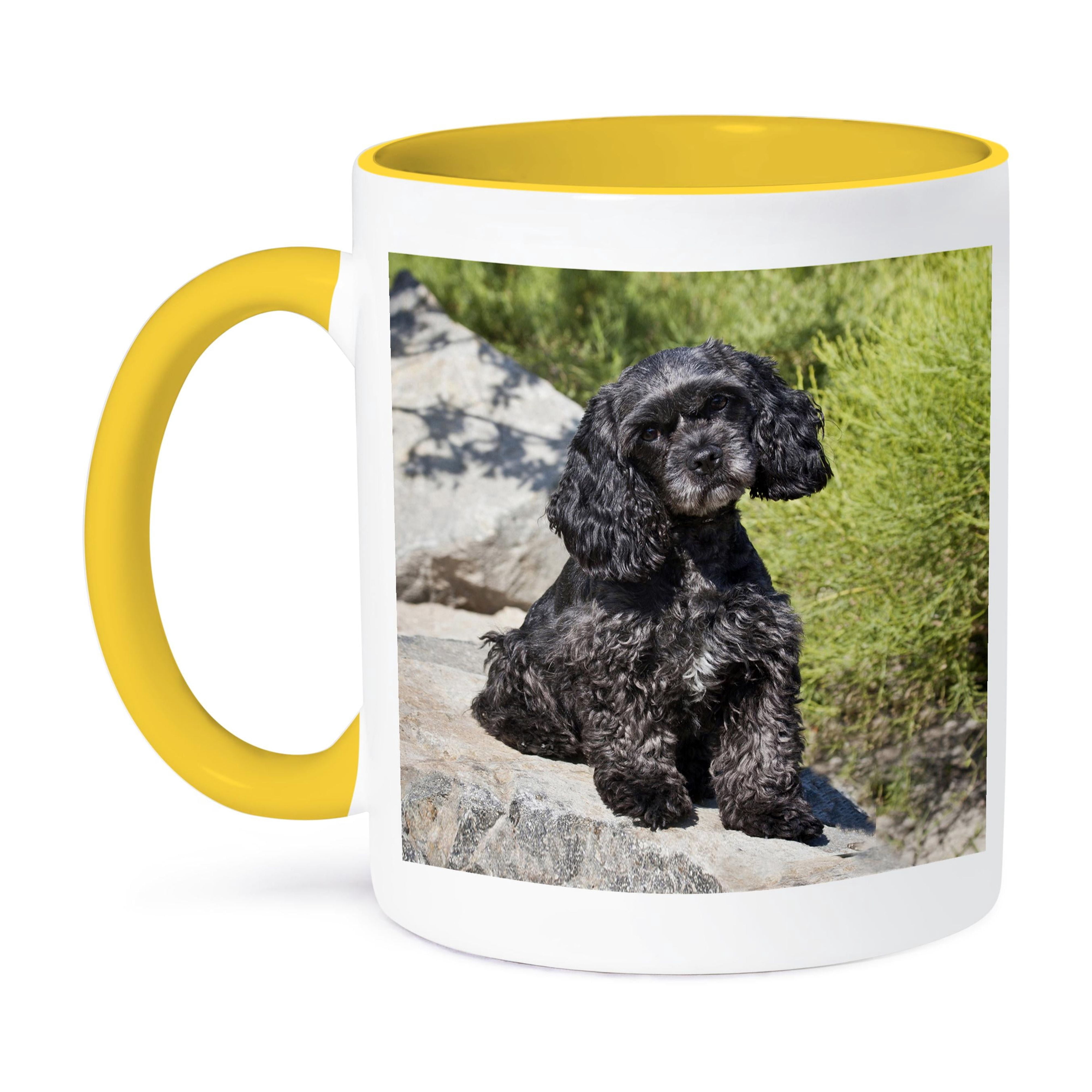 3dRose, Cockapoo dog sitting on some boulders - NA02 ZMU0111 - Zandria ...