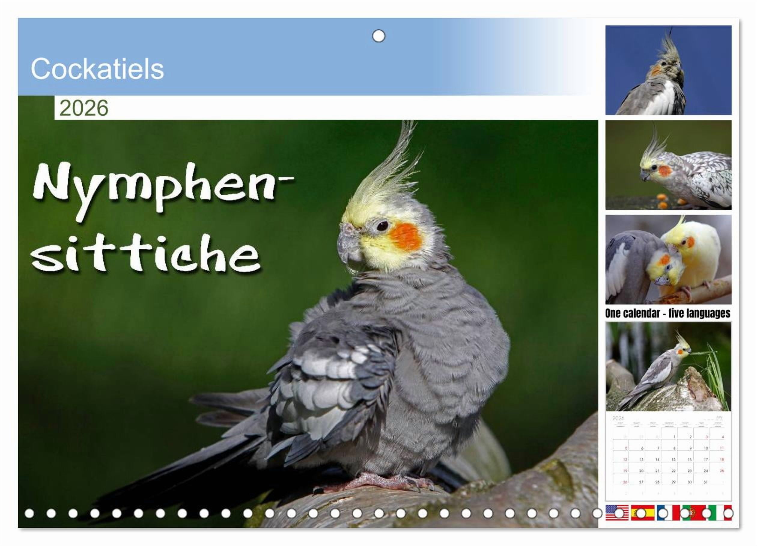 Cockatiels (Monthly Wall Calendar 2026 11.7 x 16.5 (open)), CALVENDO 14 ...