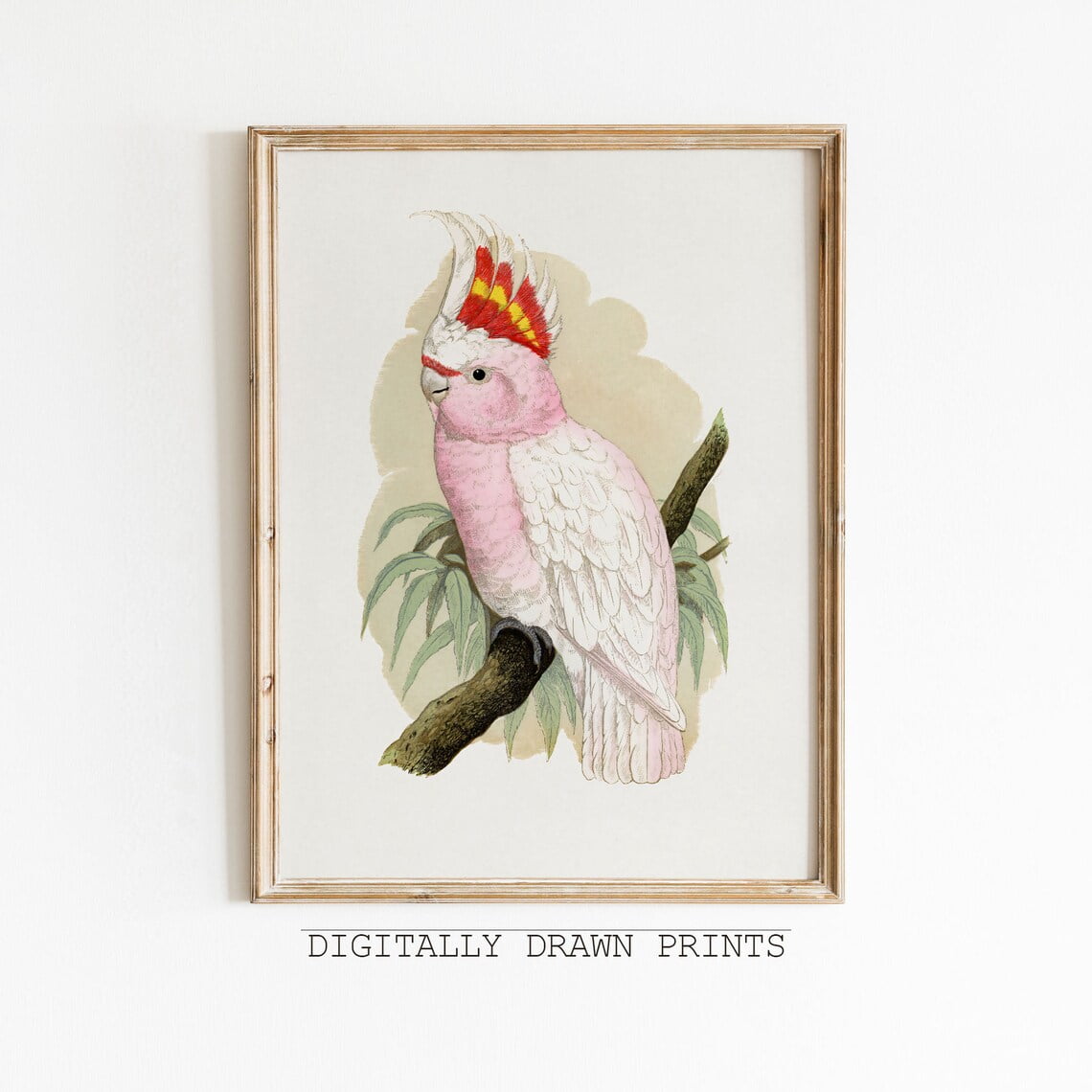 Cockatoo, Light Academia Wall Art, Living Room Wall Art Print, Vintage ...