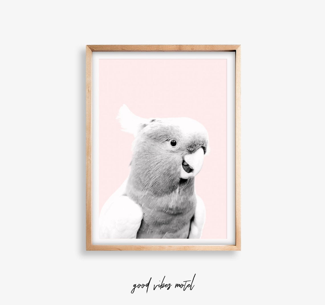 Cockatoo Poster, Tropical Wall Art, Australia, Poster, Pink Grey Wall ...