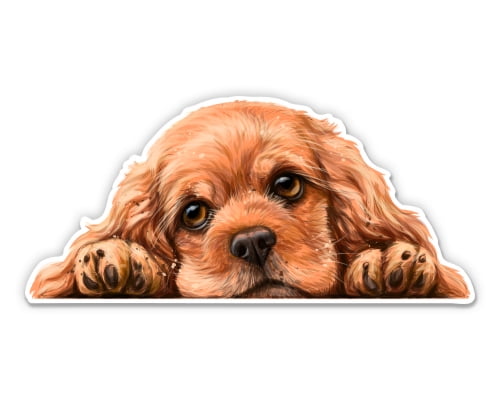 Cocker Spaniel - 12" Vinyl Sticker Waterproof Decal - Walmart.com