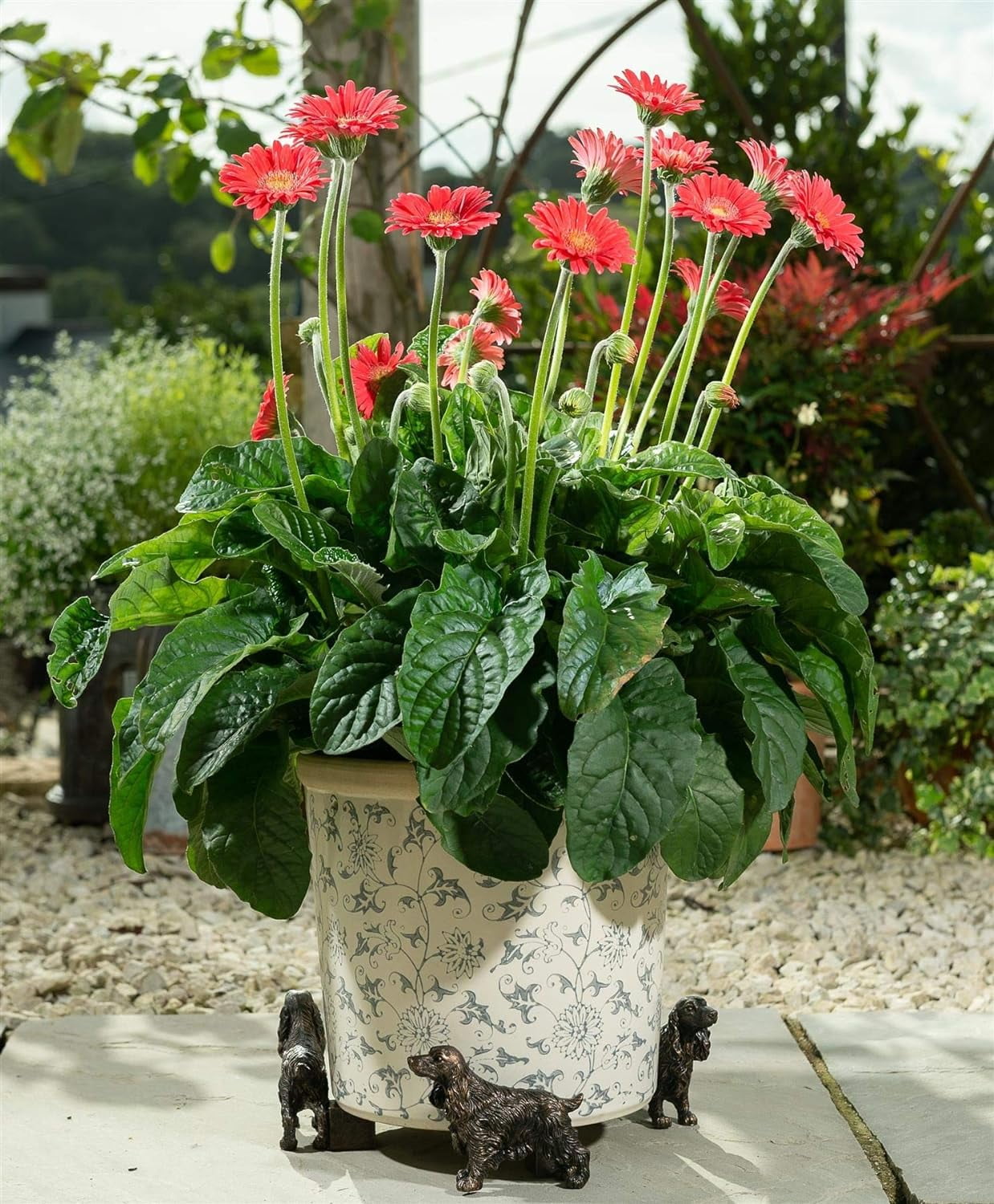 Cocker Spaniel Plant Pot Feet - Set of 3 - Walmart.com