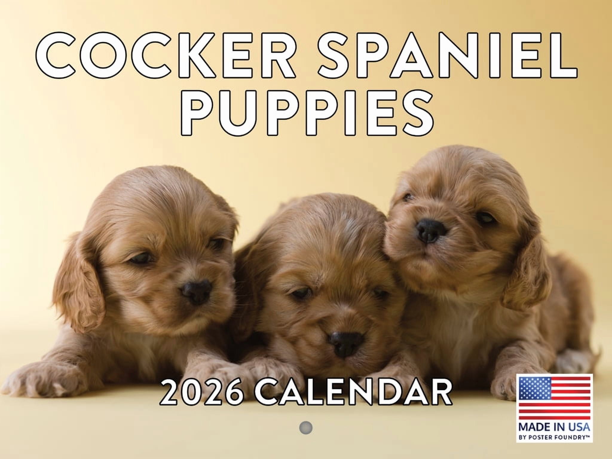 Cocker Spaniel Puppies Calendar 2026 Monthly Wall Calender | American ...
