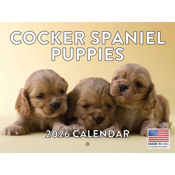 Cocker Spaniel Puppies Calendar 2026 Monthly Wall Calender | American ...