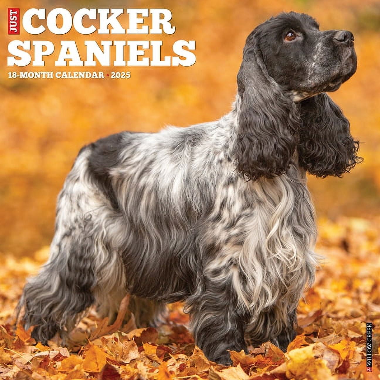 Cocker Spaniels 2026 12 X 12 Wall Calendar Hardcover Walmart