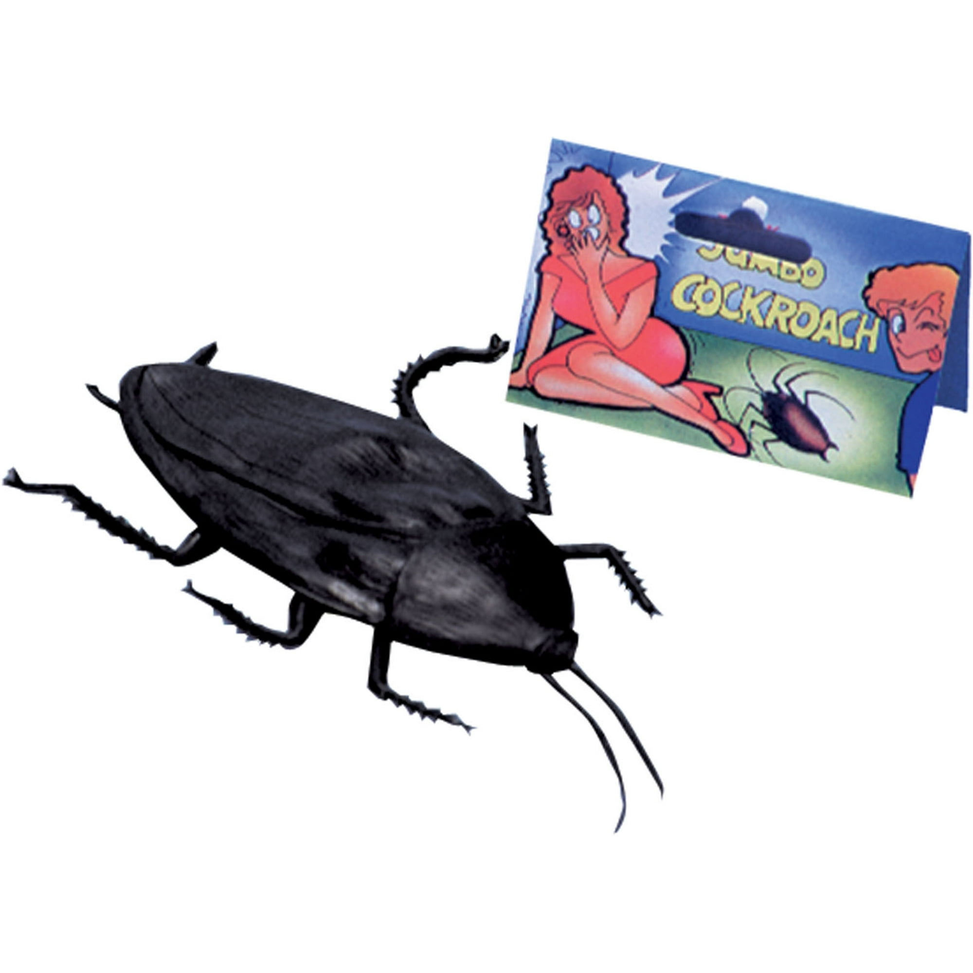 Giant Cockroach