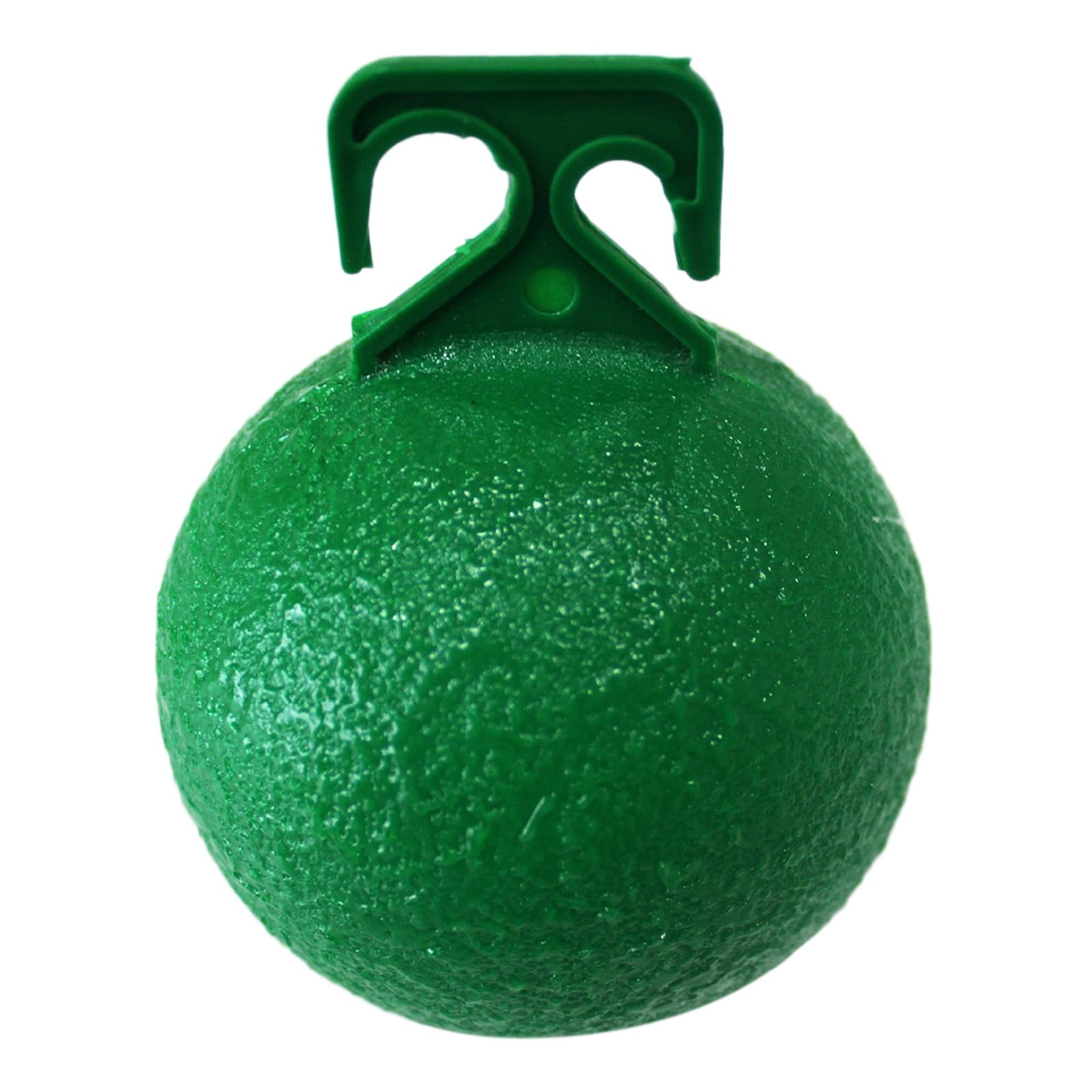 Cockroach Indoor Moth Sticky Mice Dog Proof Coon Hotels Or Gnat Sticky ...