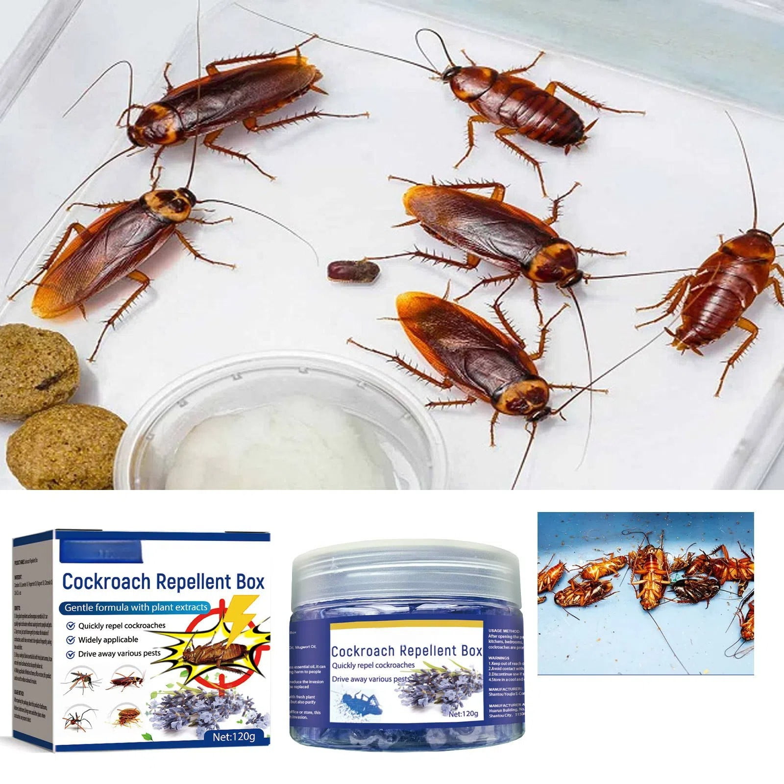 Cockroach Repellent Box - Cockroach Home Oil Aromatherapy - Kitchen ...