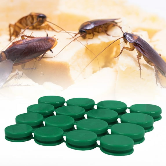 Cockroach Station Cockroach Kitchen Household Cockroach Cleaner Indoor ...