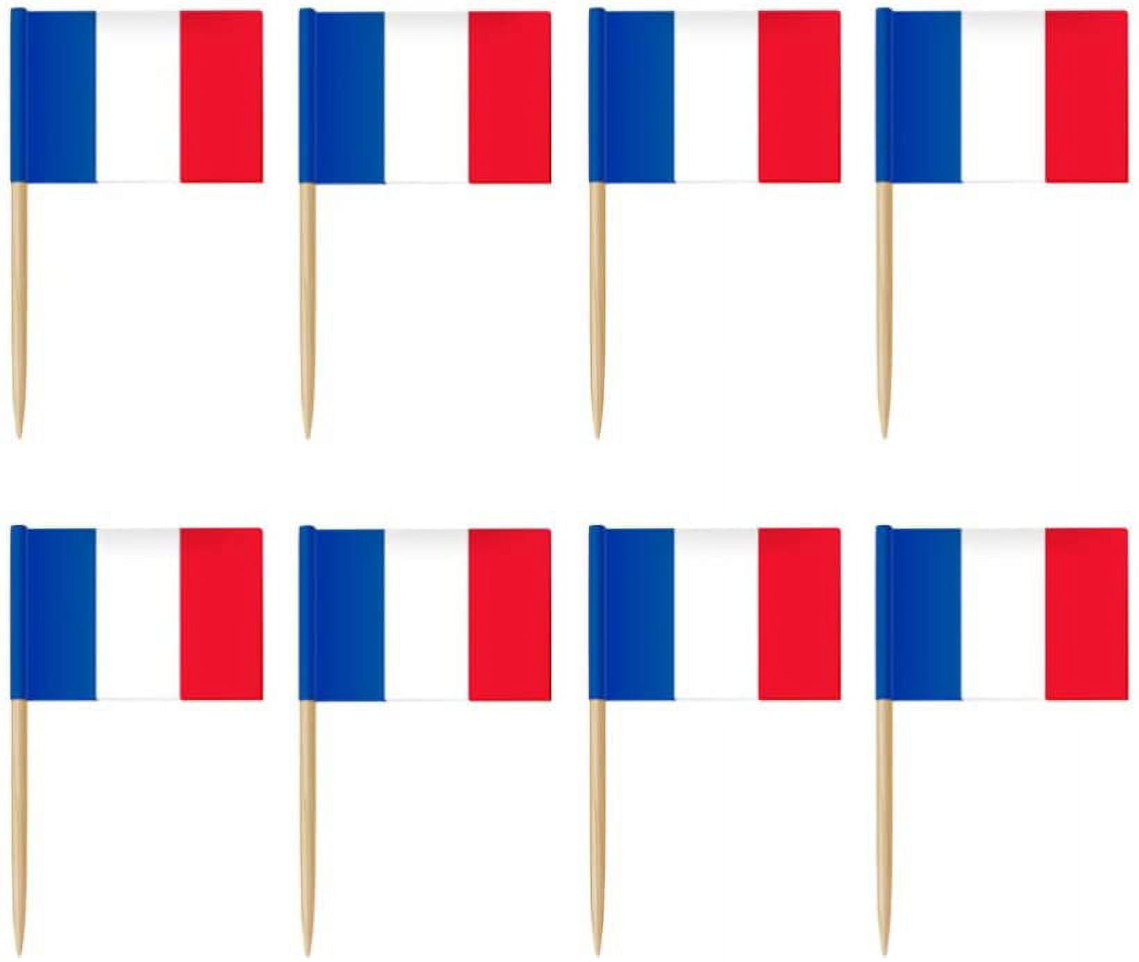 Cocktail Picks Pride Flags Mini, 100Pcs International World Flag Hand ...