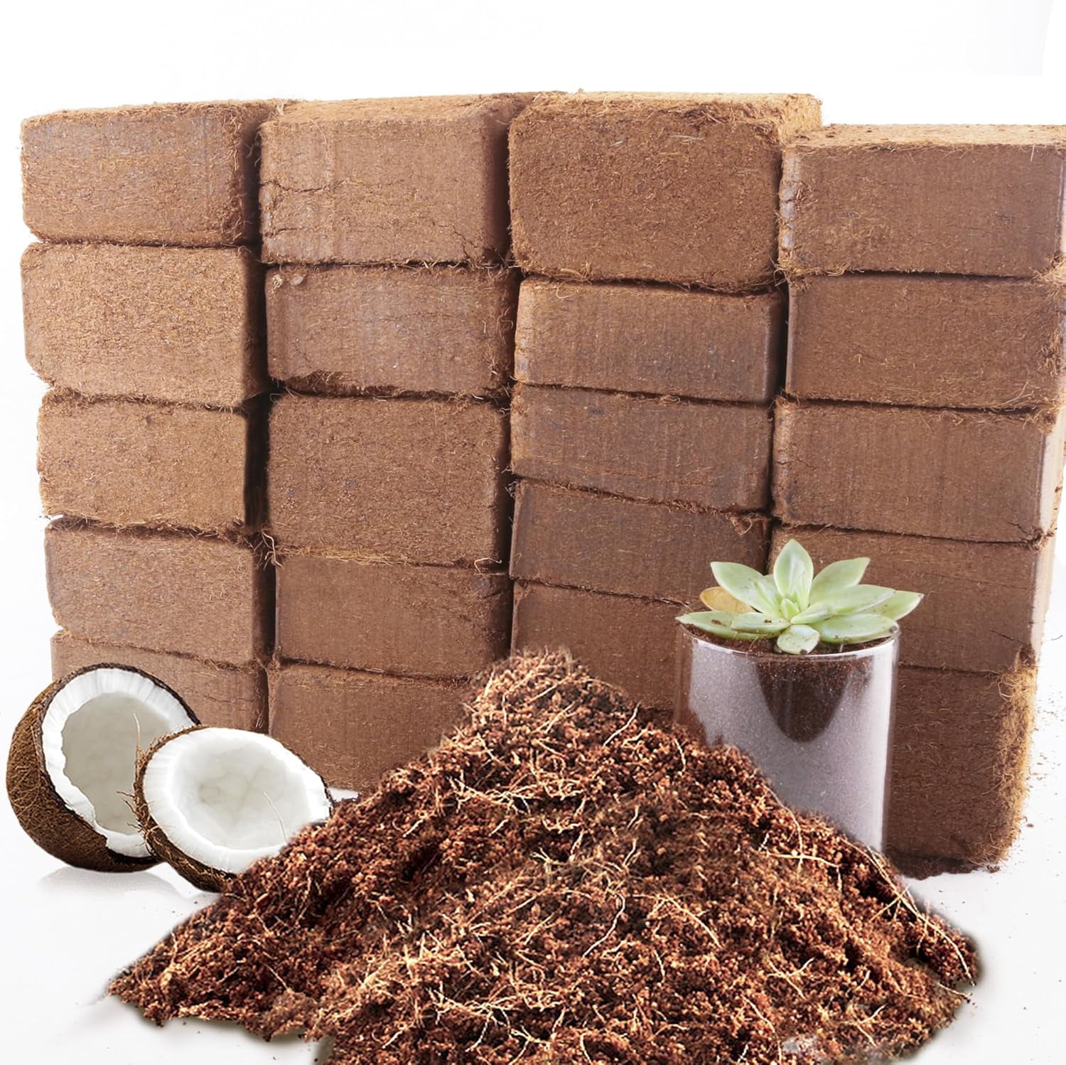 Coco Coir Brick for Plants, 24 Packs 100% Natural Organic Compressed ...